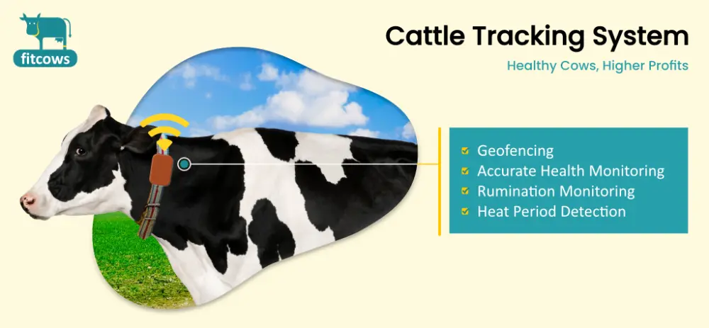 Cattle Tracking System: Fitcows
